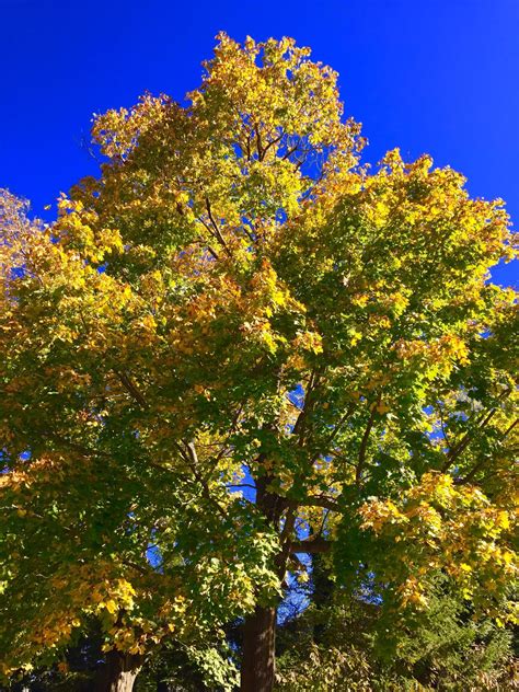 It S All About Purple Autumn Has Arrived