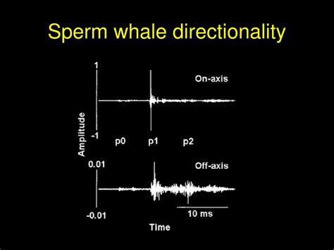 Ppt Biosonarecholocation Powerpoint Presentation Free Download Id27213