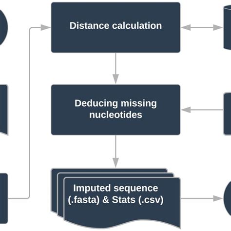 Flowchart Of The Imputation Procedure This Flowchart Shows The