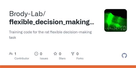 Github Brody Labflexibledecisionmakingtraining Training Code For The Rat Flexible