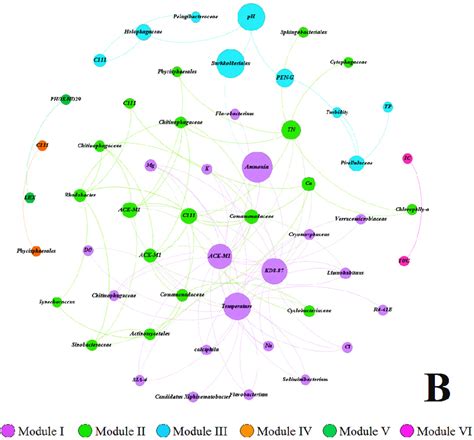 The Network Analysis Showing The Co Occurrence Patterns Between
