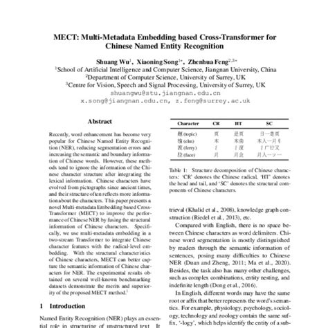 Mect Multi Metadata Embedding Based Cross Transformer For Chinese Named Entity Recognition