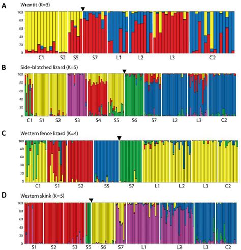 Genetic Clustering Analysis Reveals The Most Likely K Each Column Download Scientific Diagram