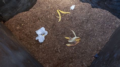 Cuidado Del Medioambiente Cómo Compostar Los Residuos Orgánicos Para