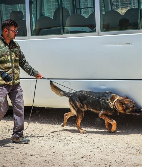 Explosive Detection Advance Course Jordan National K9 Center