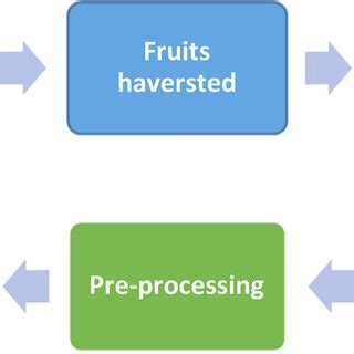 Process Of Dataset Preparation Download Scientific Diagram
