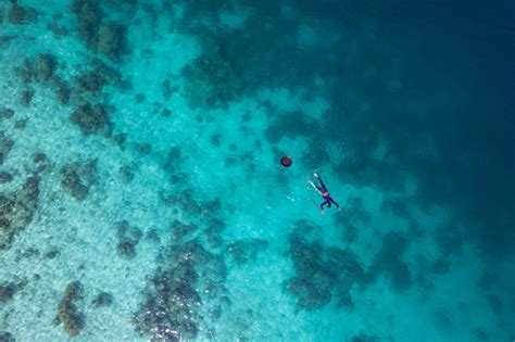 Global Environment Facility On Linkedin Youthday Digitalsolutions