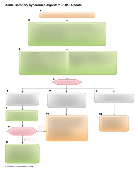 Acute Coronary Syndrome Acls Algorithm Diagram Quizlet