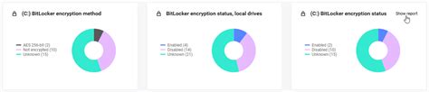 View The Bitlocker Disk Encryption Status Of Your Windows Computers