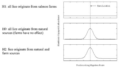 Model Based On The Mathematical Principle Of Infection Dynamics To Download Scientific Diagram