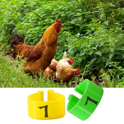 Hen Ring Chicken Ring Identification Hen Ring Foot Rings Id Rings