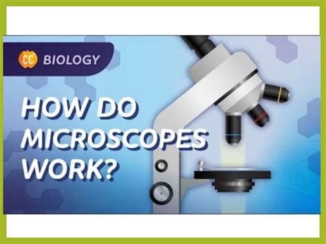 Introduction To Microscope And Types And Classification Of Protozoansppt