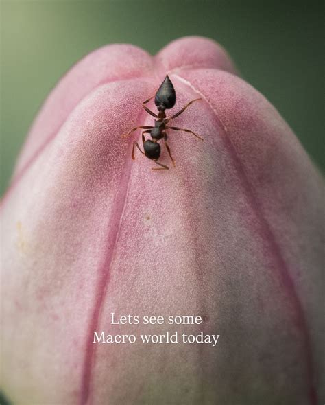 Dr Ravindranath Kapu Ravindra Visuals • Instagram Photos And Videos