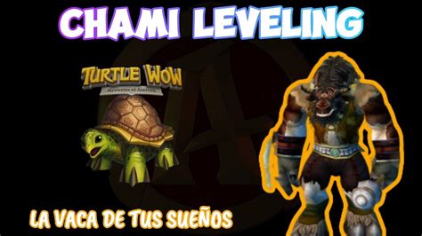 🟢 Leveando Sin Pausa Pero Sin Prisa Turtle Wow 🐢💥 Youtube
