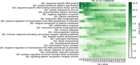 Detailed Go Enrichment Top 25 Enriched Go Categories Across All Three
