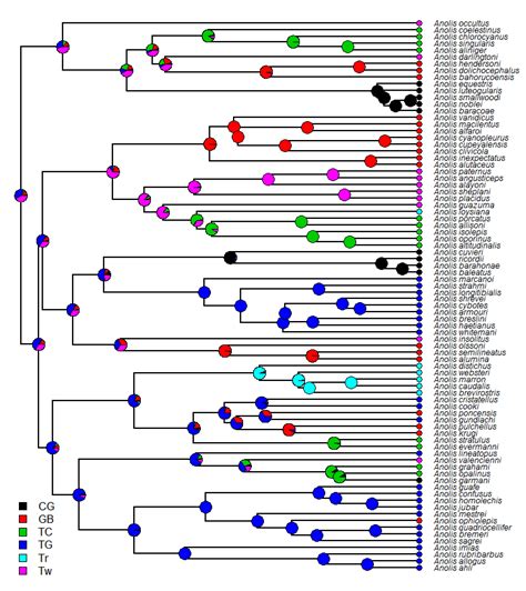 Phylogenetic Tools For Comparative Biology New Print Plot Methods