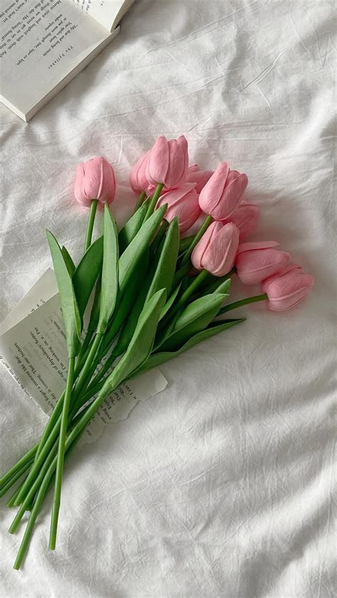 ‎al Areej Fadhil الأريج فاضل‎ ‎تتذكرون صور بنترست اللي شوفتها الكم