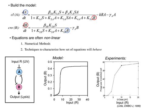 Complex Systems In Biology Ppt Download