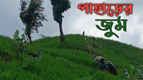 পাহাড়ের উপরে জুম ঘর। Youtube