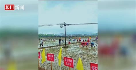 湖南乡镇回应河南花49万插秧2亩助农：网传花49万元公款不实腾讯新闻