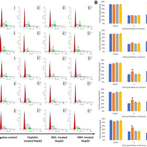 Cell Cycle Histogram A And Distribution Of Hepg2 In Each Cell Cycle