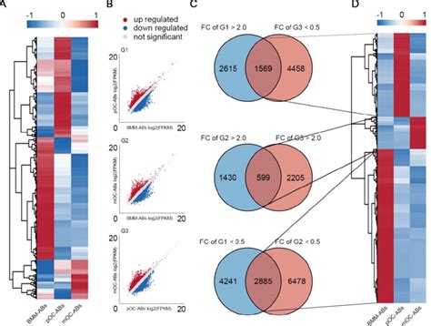 lncrna profiling of bmm abs poc abs and moc abs a hierarchical