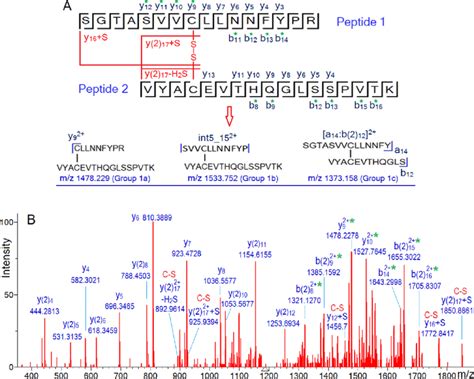 Different Types Of Product Ions In The Msms Spectrum Of A Triply Download Scientific Diagram