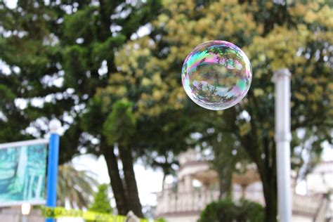 무료 이미지 비누 식물 자연 환 경 분기 잔디 여가 액체 방울 행사 크리스마스 장식 유리 패션 액세서리 공 휴양 시티 자동차 부품 자동차 바퀴