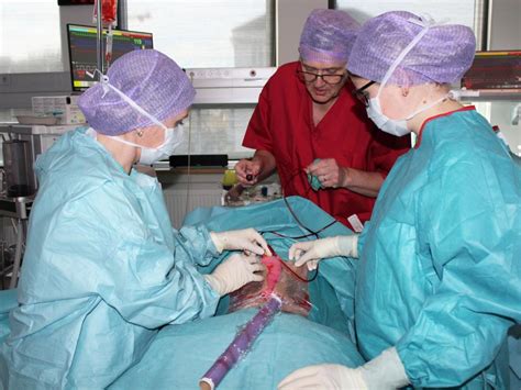 HermÍs Hermis Hi Is