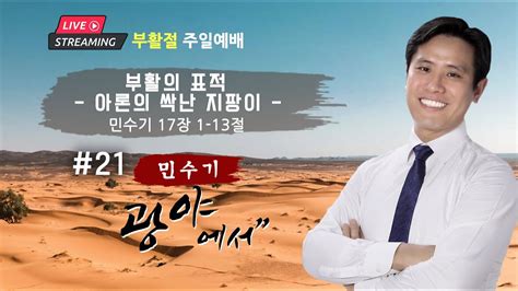 부활절 주일 예배ㅣ”부활의 표적 아론의 싹난 지팡이” 민수기 21 17장 1절 13절 이혜진 담임목사 온라인 예배 4 20 2025 Youtube