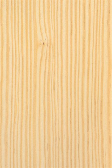 Other Names Carolina Pine Loblolly Pine Pitch Pine Yellow Pine