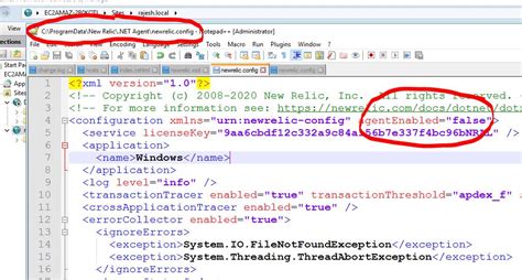 How To Disable Newrelic Agent Completly Or Disable For Specific App In Dotnet
