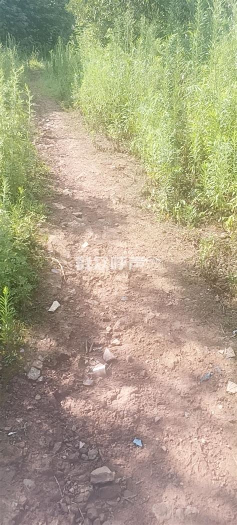 村级路硬化 群众呼声四川问政 四川省网上群众工作平台 岳池县委书记