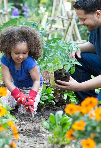 니트릴 장갑 샌디 니트릴 장갑 폼 니트릴 장갑 완벽한 안전성