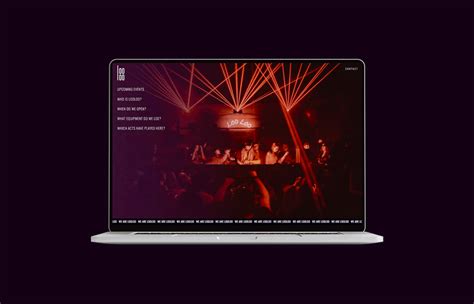 Graycat Looloo Studio