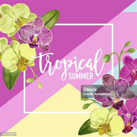 안녕하세요 여름 트로픽 디자인 포스터 판매 배너 현수막 전단에 대 한 열 대 난초 꽃 배경 꽃 빈티지 구성입니다 벡터 일러스트 레이 션 난과 식물에 대한 스톡 벡터 아트 및