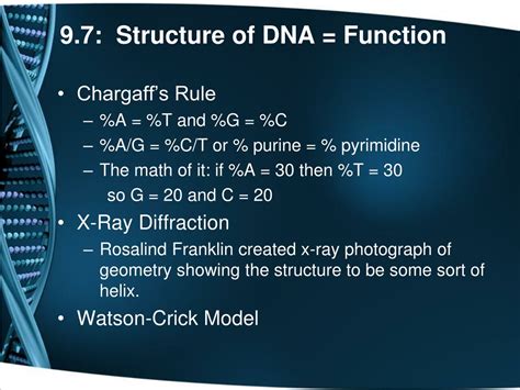 Ppt Dna Structure And Analysis Honors Genetics Powerpoint Presentation