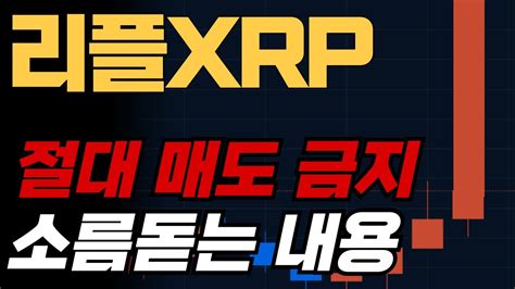 리플 엑스알피는 지금 절대 매도하면 안됩니다 Youtube