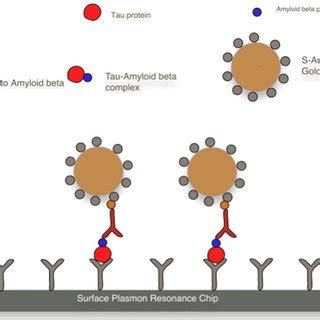 Schematic Representation Of STM Method Download Scientific Diagram