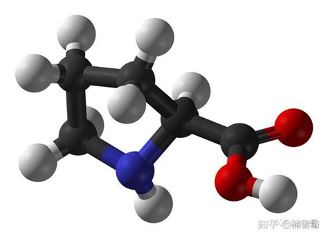氨基酸结构式与分类 知乎