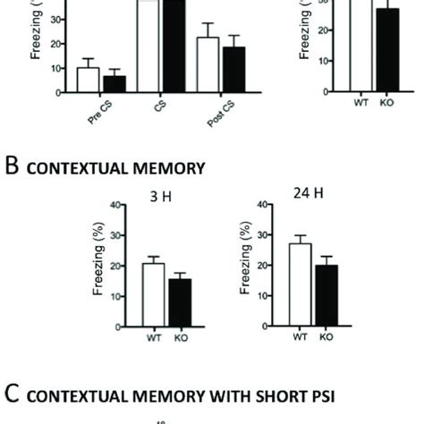 Normal Fear Conditioning In The Dcx Ko Mice Acued And Contextual