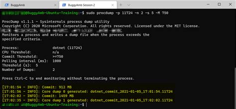 Capture Net Core Dumps With Procdump Aspnet Core Microsoft Learn