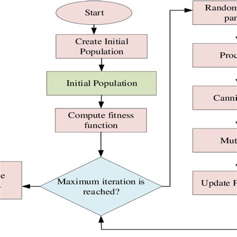 flowchart of the bwo initially random fopid controller parameters are