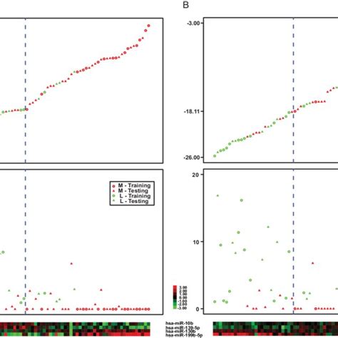 Clear Cell Renal Cell Carcinoma Ccrcc Metastasis Specific Mirna