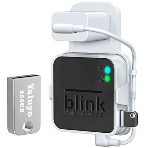 Blink Local Storage With Or Without A Subscription Explained