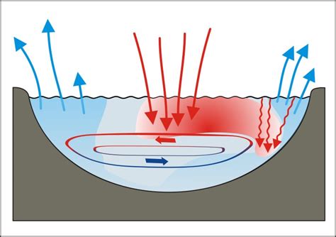 6 Convection And The Thermohaline Circulation Climate Theory