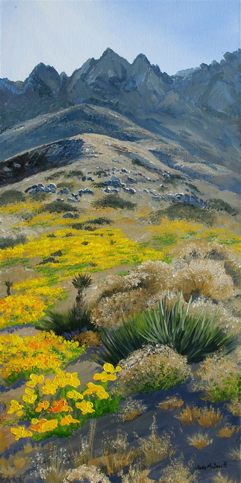 Main Gallery Sally Mcdevitt American Artist