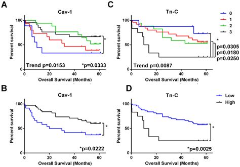 Predictive Value Caf Markers In Nsclc Serial Sections Of Ffpe Nsclc Download Scientific