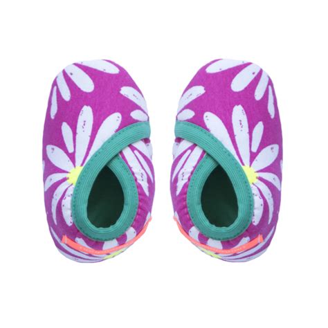 Repollos I Comprar En Floripondias