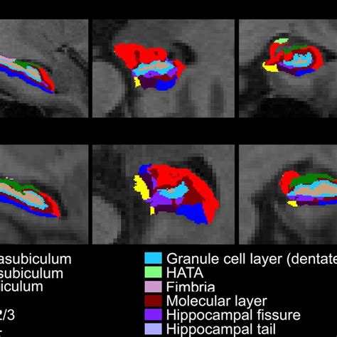 Xin Xu Principle Investigator Phd Zhejiang University Hangzhou